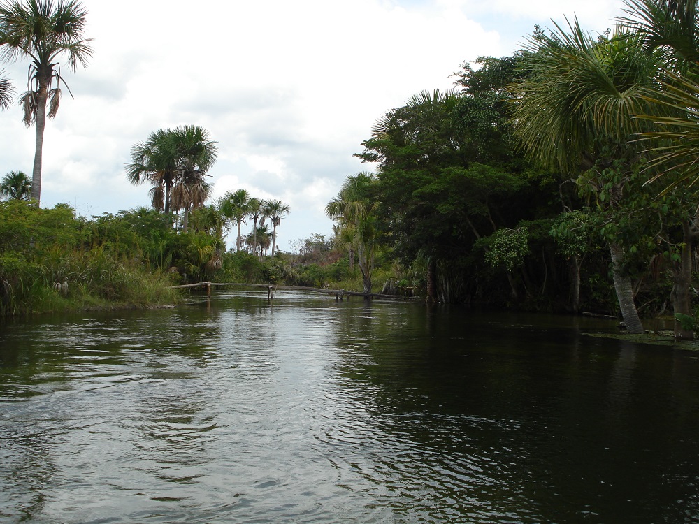 Cardosa – Encantes do Nordeste
